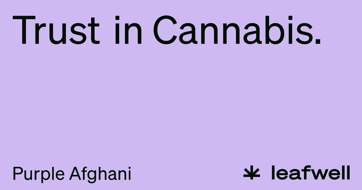 Purple Afghani Marijuana Strain, AKA Purple Afghan Kush Purple Afghani Marijuana Strain, AKA Purple Afghan Kush